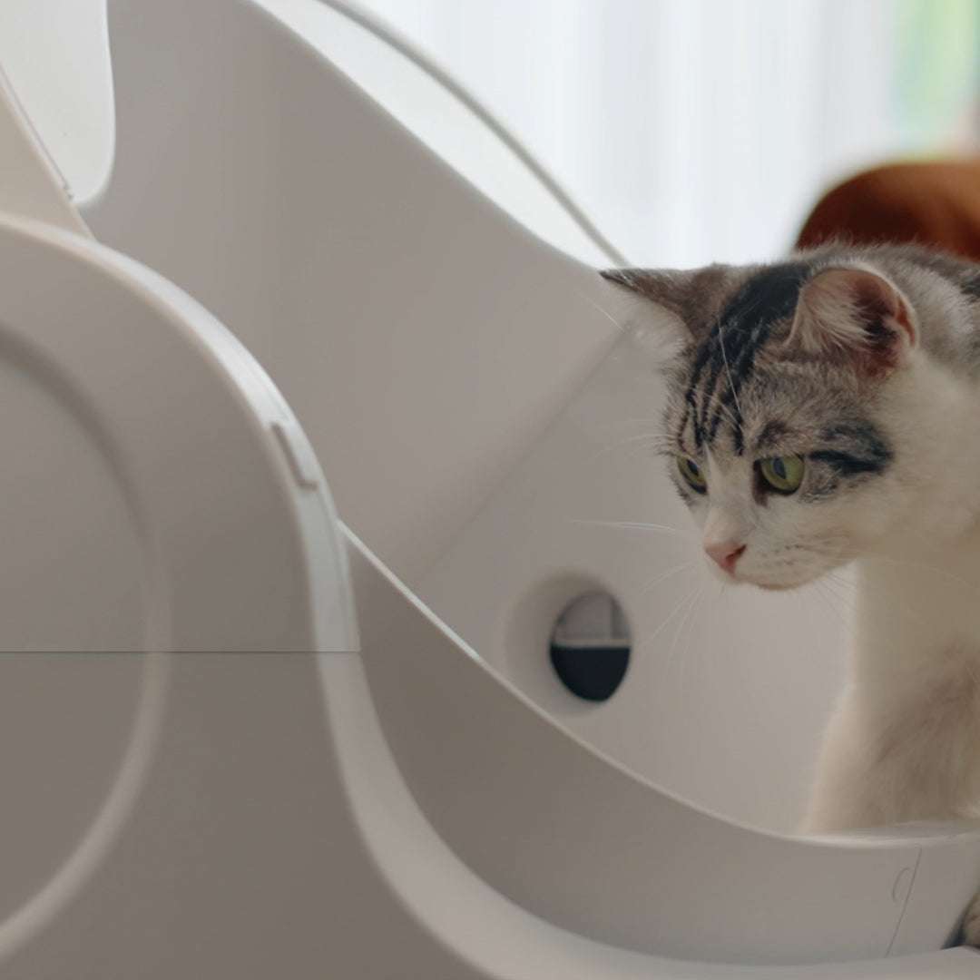 Multiple Cat Automatic Box Autoscooper 11 Self-Cleaning Cat Litter Box ...